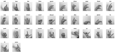 Image result for Arabic Sign Language