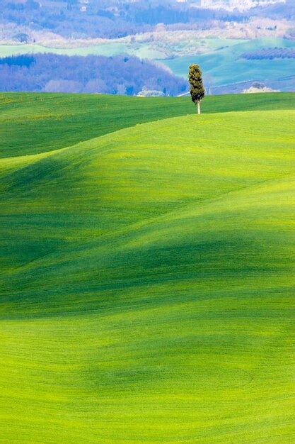 Image result for Scenic View Golf Course