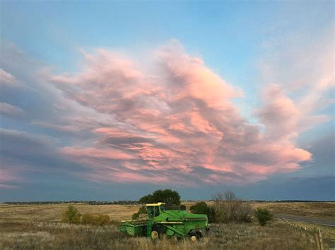 Image result for iPhone 6 Plus Camera Tutorial