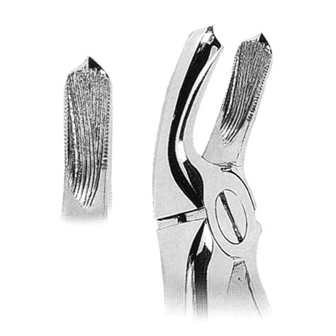 Image result for Extracting Forceps