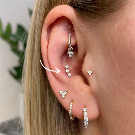 Image result for Conch Piercing
