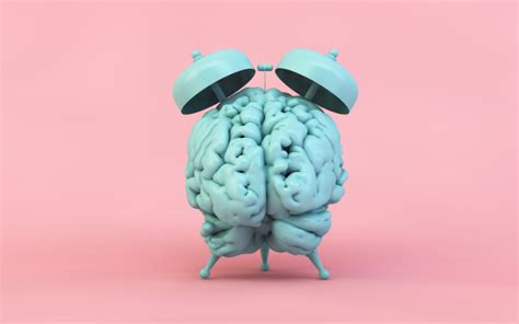 Image result for Brain Learning Sleep