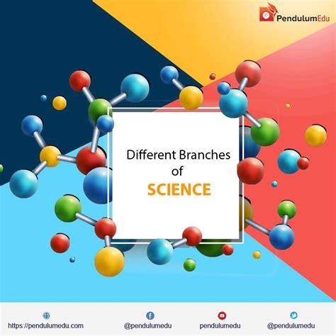 Image result for Different Types of Science