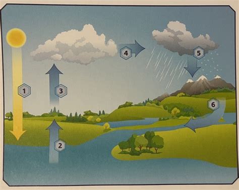 Image result for 3rd Grade Science Practice Test