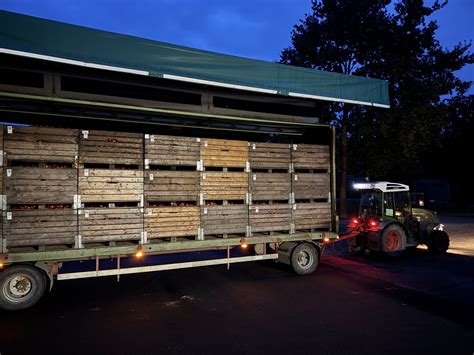 Image result for Sales Management Module