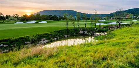 Image result for Golf Course Signs