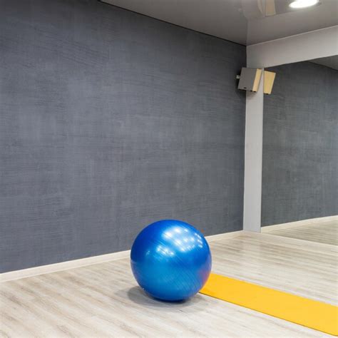 Image result for Small Blue Exercise Ball