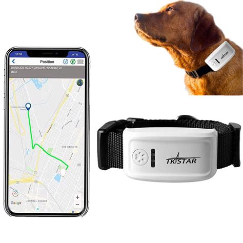 Image result for Animal Tracking Devices
