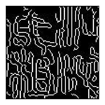 Image result for Canny Edge Extraction MATLAB