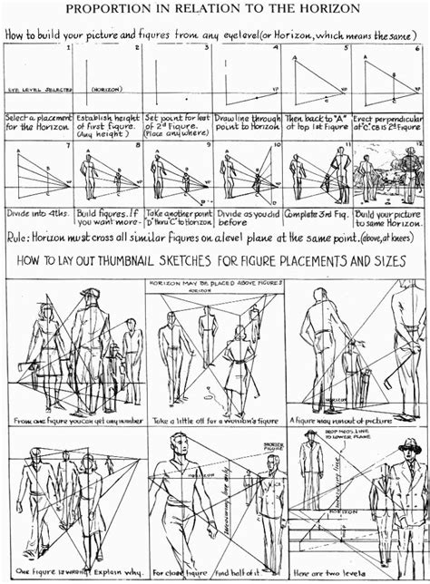 Image result for Proportion Drawing