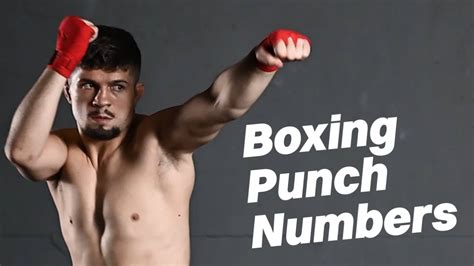 Image result for Boxing Number System