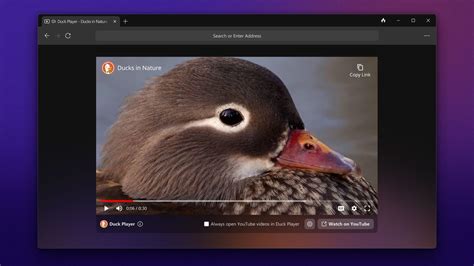 Image result for Go Duck Go Web Browser