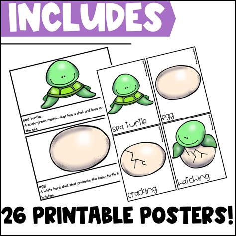 Image result for Turtle Life Cycle Videos