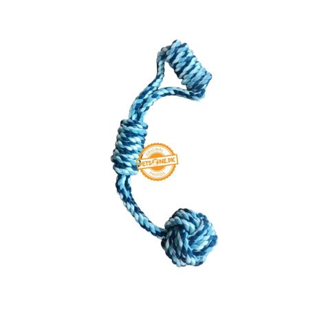 Image result for Dog Spring Pole