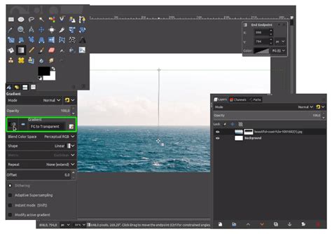 Image result for Image Manipulation
