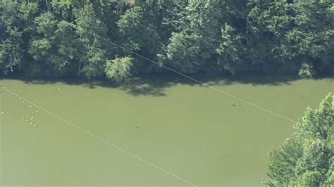 Image result for Zip Line Operator Dies Fall