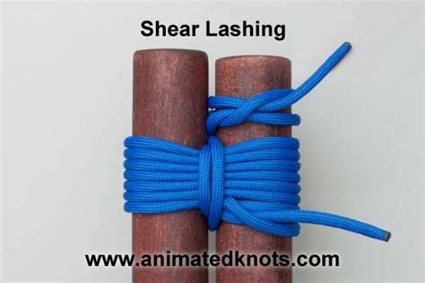 Image result for Shear Lashing 2 Types