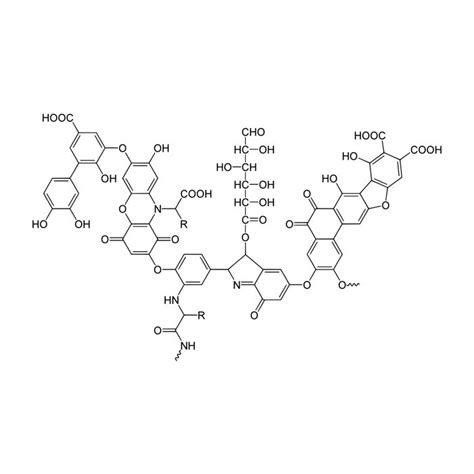 Image result for Humic Acid Structure