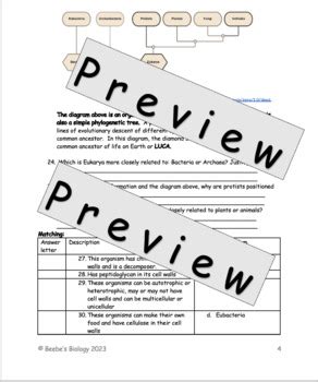 Image result for Biological Classification Emct Lesson Explanation