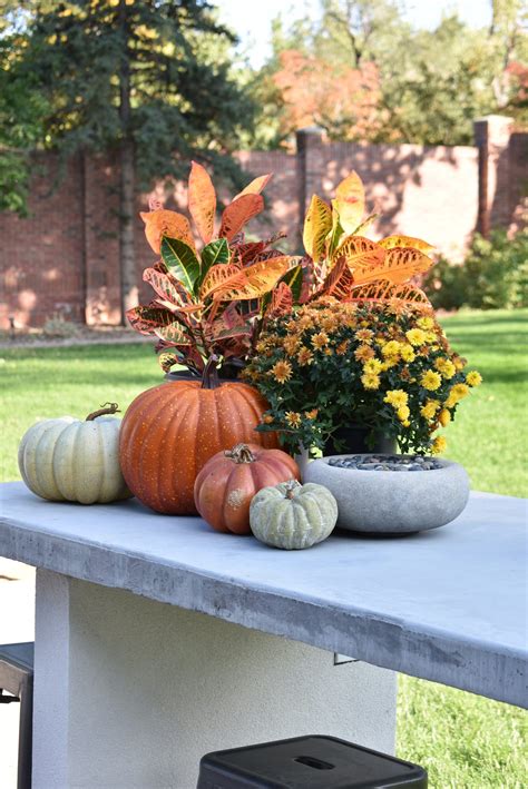 Image result for Fall Patio Decorating