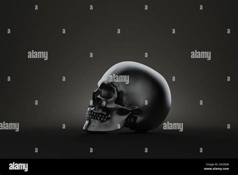 Image result for Still Life Human Model