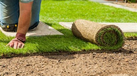 Image result for How to Apply Humic Acid