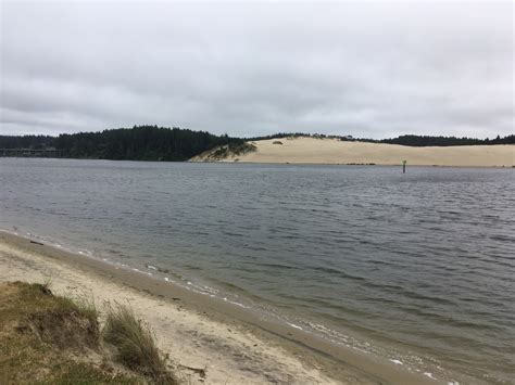 Image result for Exploding Whale Oregon