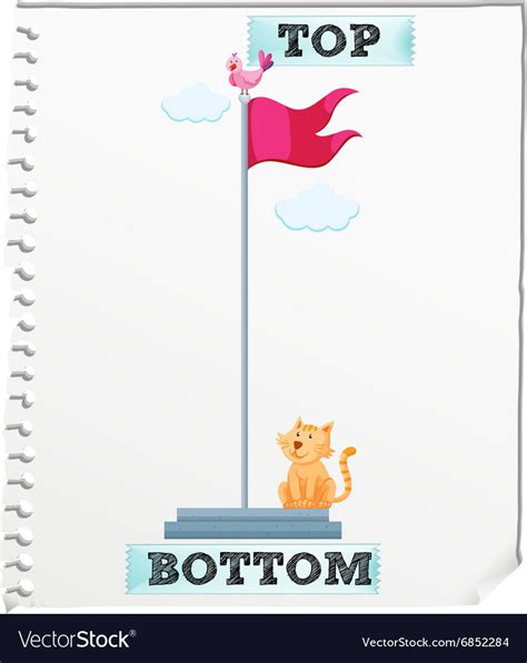 Image result for Top and Bottom Clause