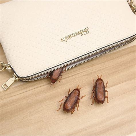 Image result for Cockroach Toy