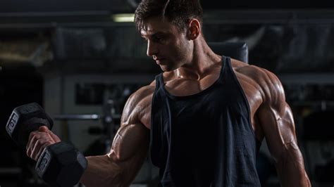 Image result for Beginner Bodybuilder