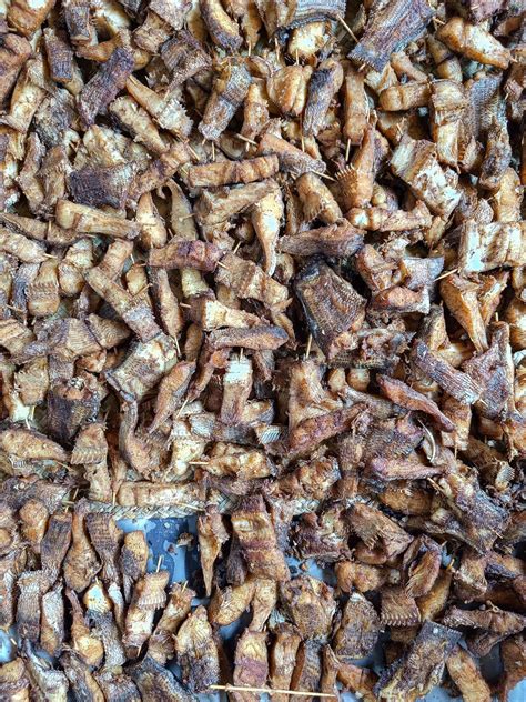 Image result for Snakehead Fish Cooking