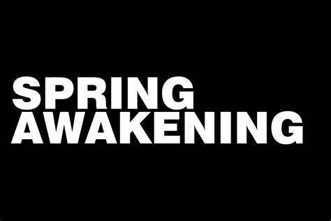 Image result for Spring Awakening Rec Room