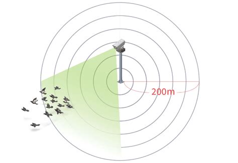 Image result for Example of RPA Bird Count