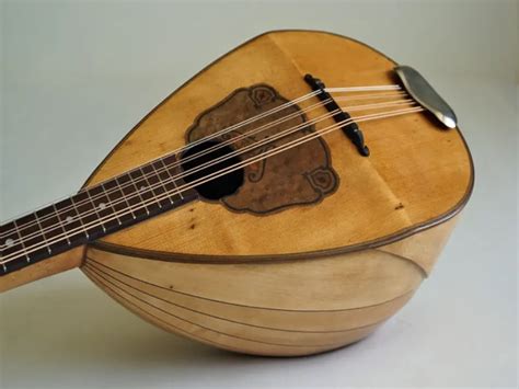 Image result for 10 String Mandolin