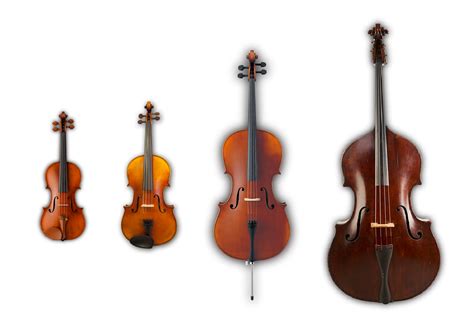 Image result for Strings Ensemble Native Instruments