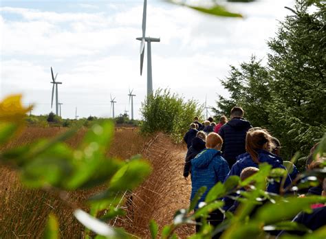 Image result for Res Intranet