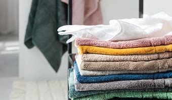 Image result for Rusta