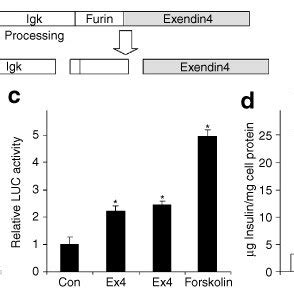 Image result for EX4 Protection