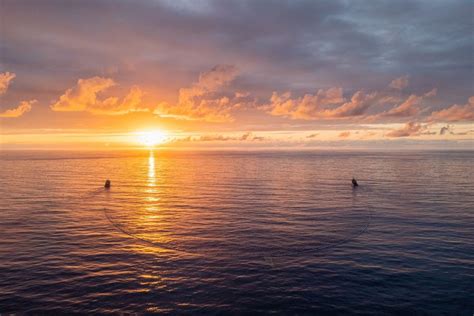 Image result for Ocean Cleanup Technology