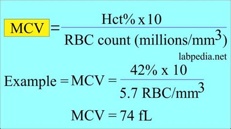 Image result for MCV Calculation