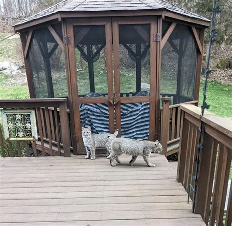 Image result for View From Our Window