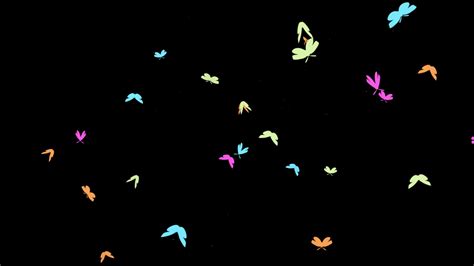 Image result for Butterfly Loop Game