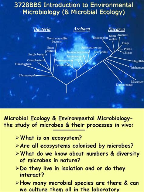 Image result for Microbial Ecology