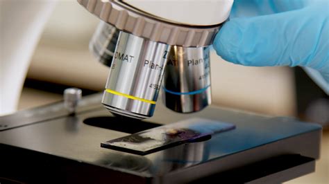 Image result for Scientific Microscope