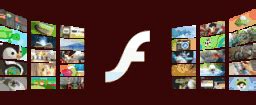 Image result for Flash Player File