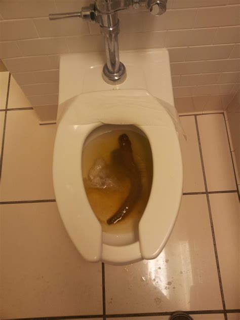 Image result for Clogged Poop