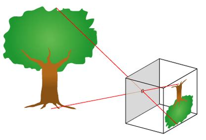 Image result for Pin Pin Hole Camera Project