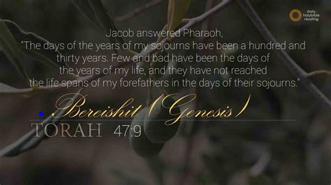 Image result for Genesis 48 Explained