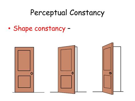 Image result for Shape Constancy Example