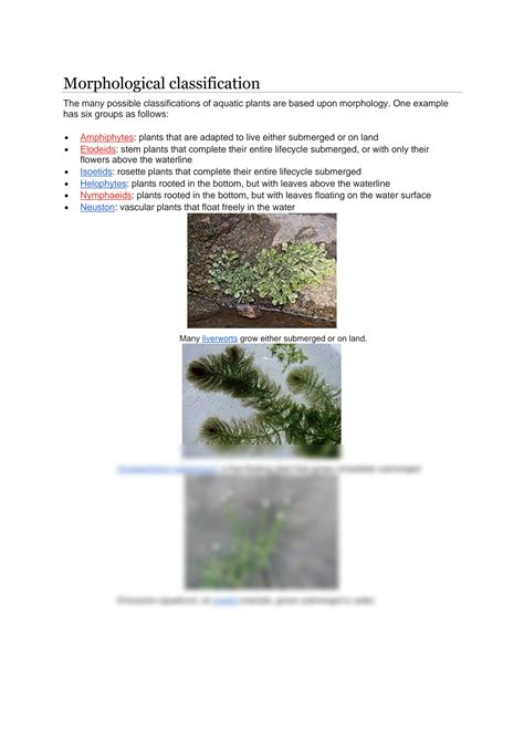 Image result for Morphological Classification System